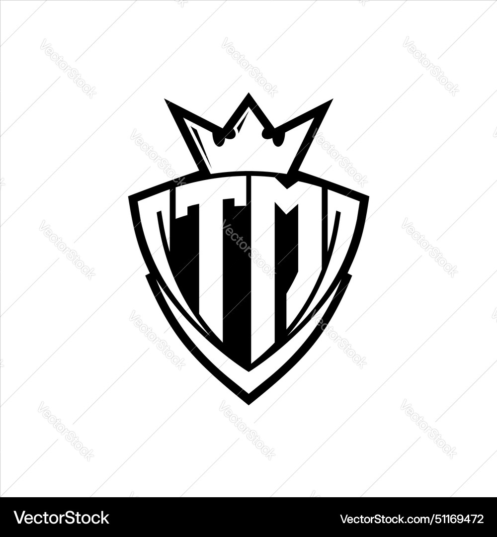 Tm letter logo with sharp triangle shield shape Vector Image