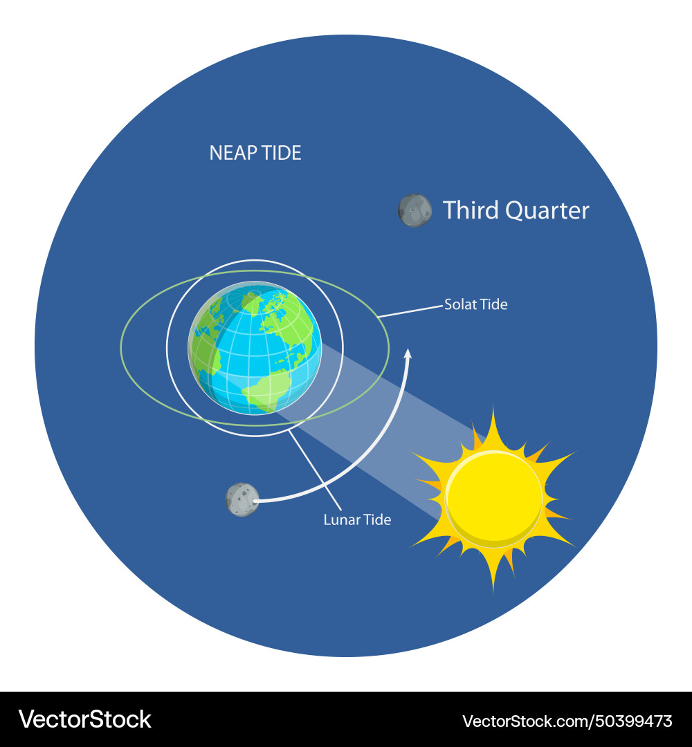 3d isometric flat of lunar Royalty Free Vector Image