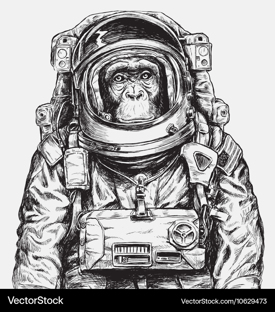 Affe Vector Images (über 65,000)