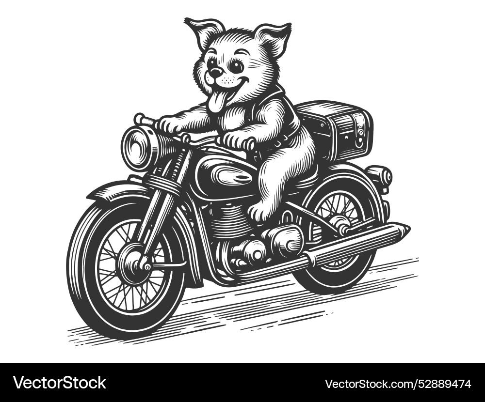 Cartoon dog riding motorcycle engraving Royalty Free Vector