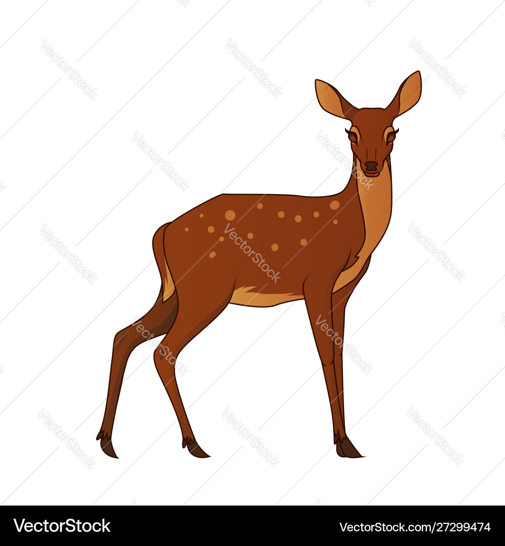 Deer isolated Royalty Free Vector Image - VectorStock