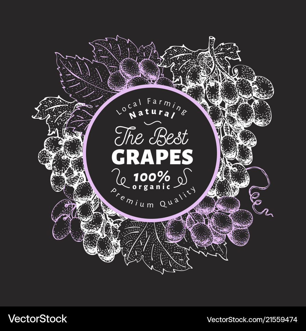 Grape berry design template hand drawn Royalty Free Vector