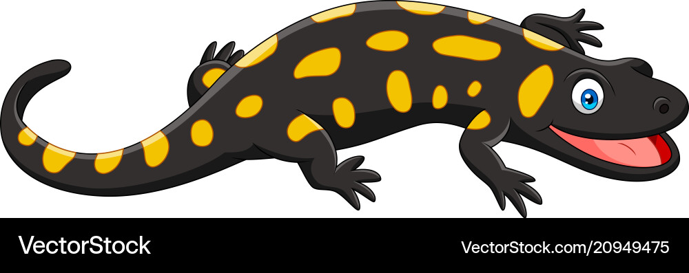 Cartoon happy salamander Royalty Free Vector Image