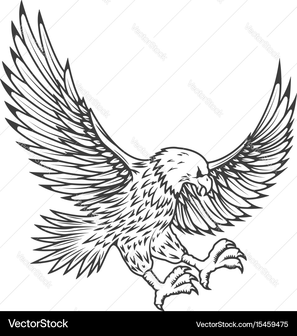 Flying eagle Royalty Free Vector Image - VectorStock