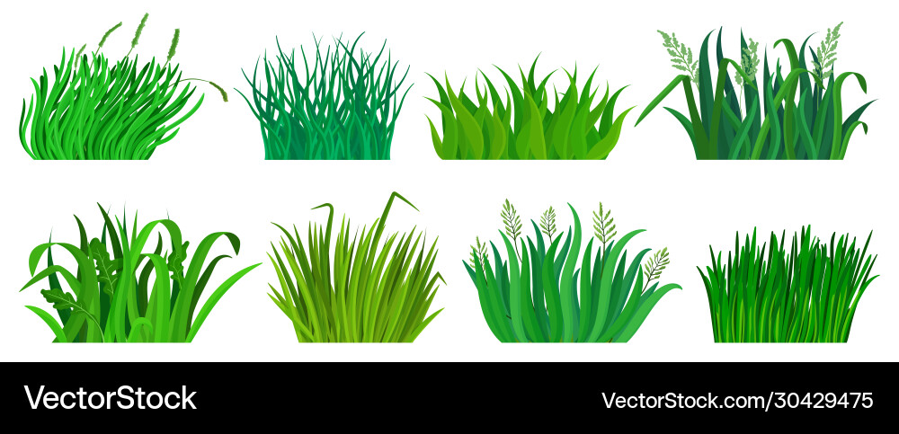 Green grass cartoon set icon isolated Royalty Free Vector