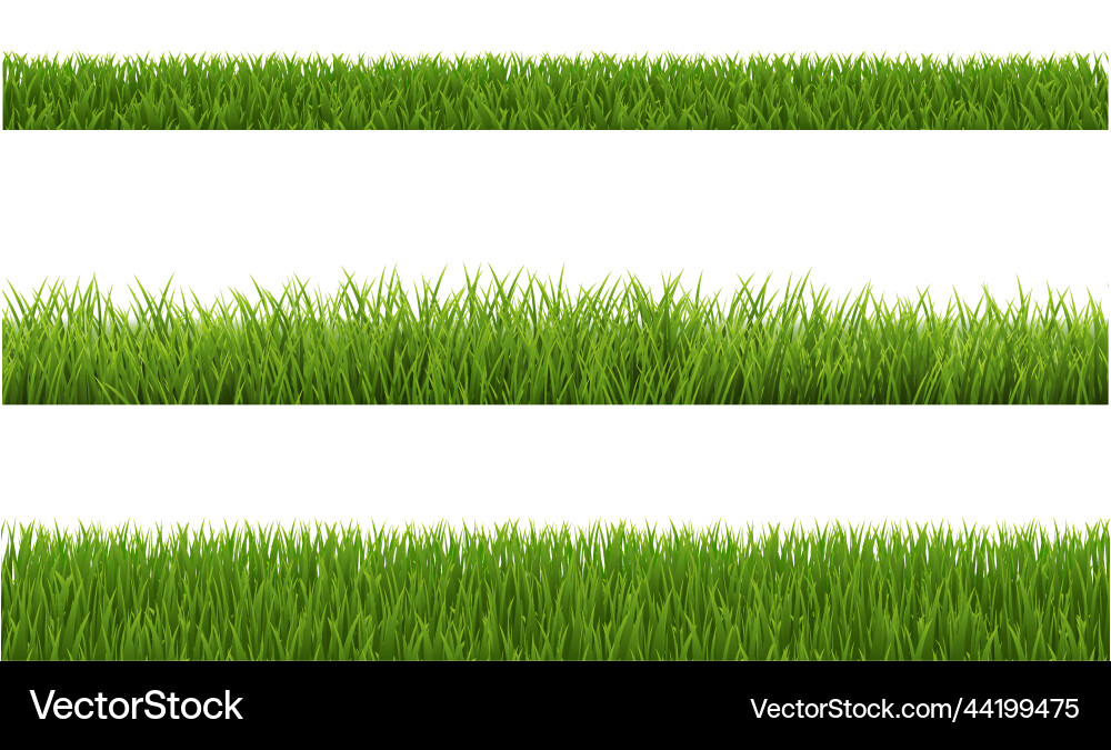 Green grass collection with white background Vector Image