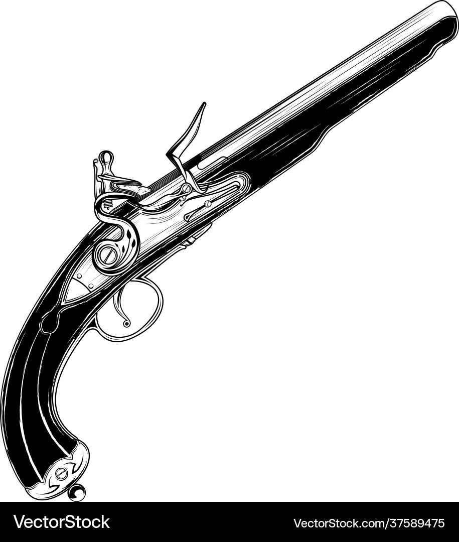 Pirate Pistol Drawing 3+ Hundred Flintlock Pistol Drawing Royalty Free