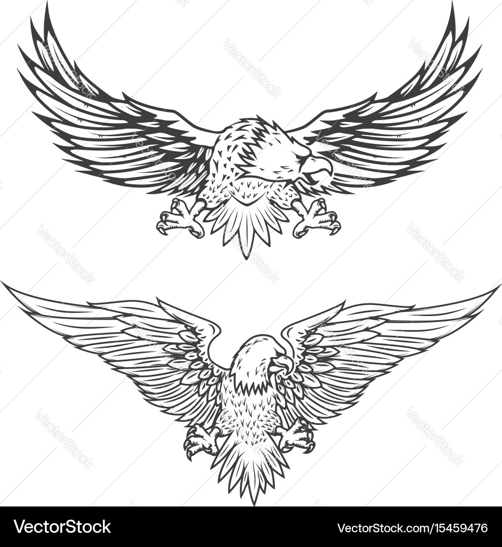 Flying eagle Royalty Free Vector Image - VectorStock