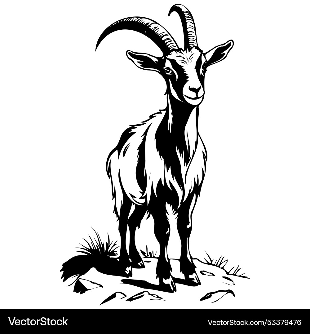 Realistic alpine goat sitting hand drawn animal Vector Image