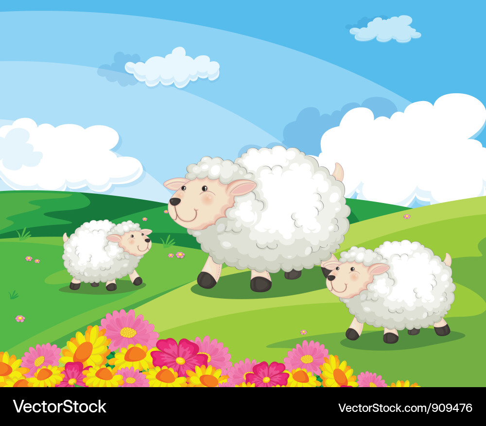 Sheep Royalty Free Vector Image - VectorStock
