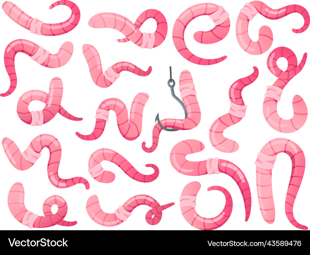 Soil worms earthworms in different poses Vector Image