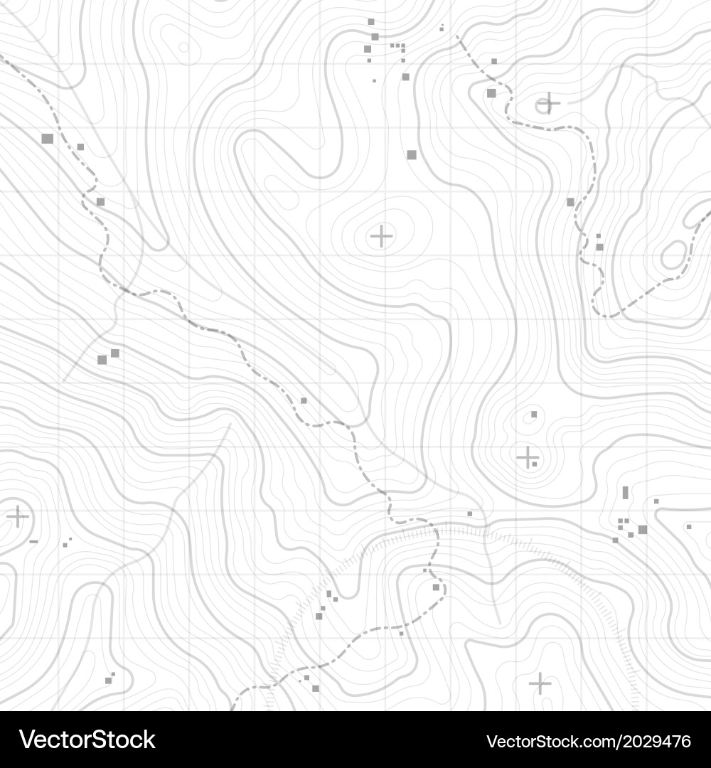 Topographic Map Background Royalty Free Vector Image