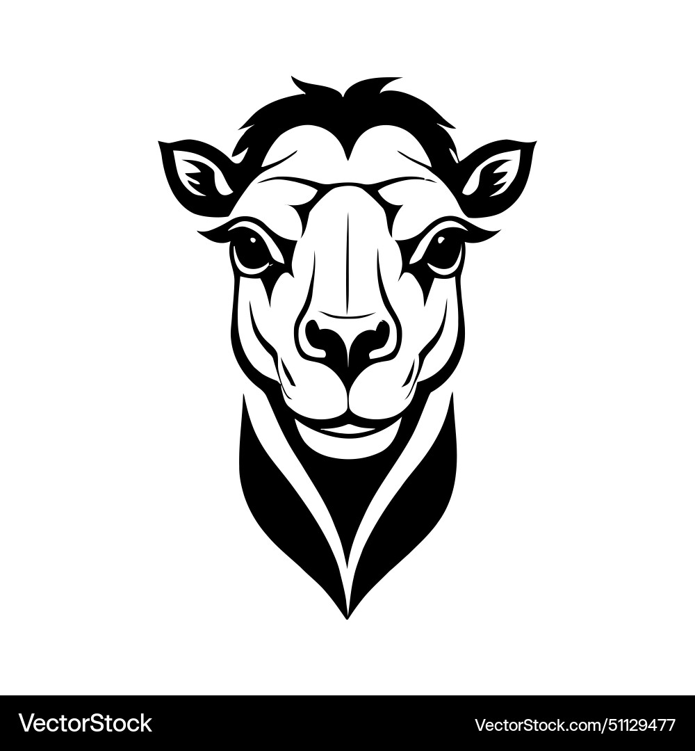 Camel head logo template on white background Vector Image