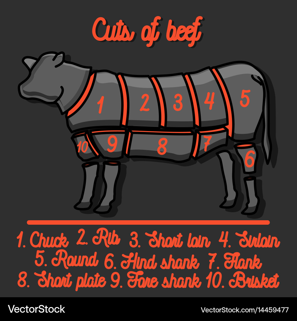 Cut of beef set Royalty Free Vector Image - VectorStock