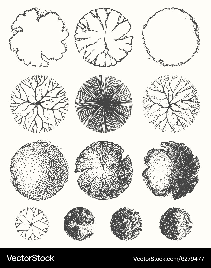 View trees and bush architecture style hand drawn Vector Image