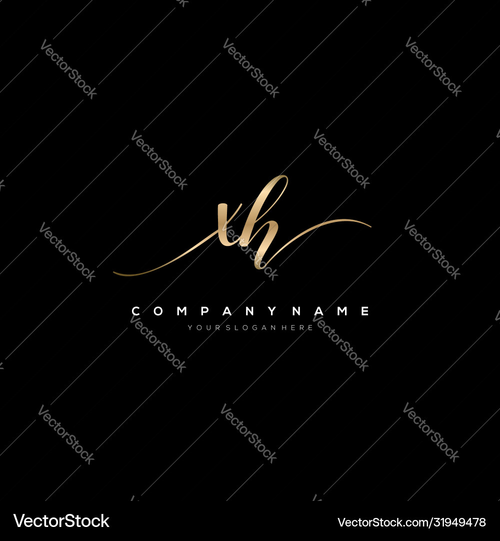 Initial letter handwriting logo hand drawn Vector Image