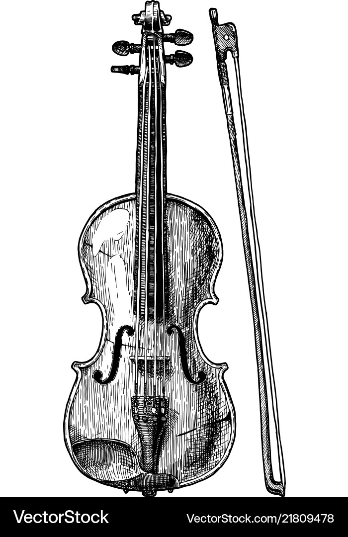 Vintage of viola Royalty Free Vector Image - VectorStock