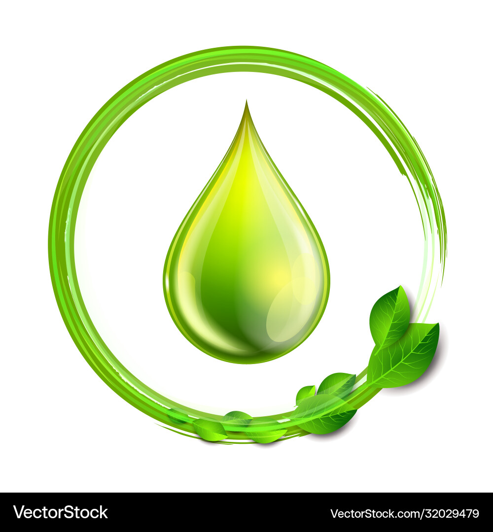 Green glossy drop with leaves isolated Royalty Free Vector