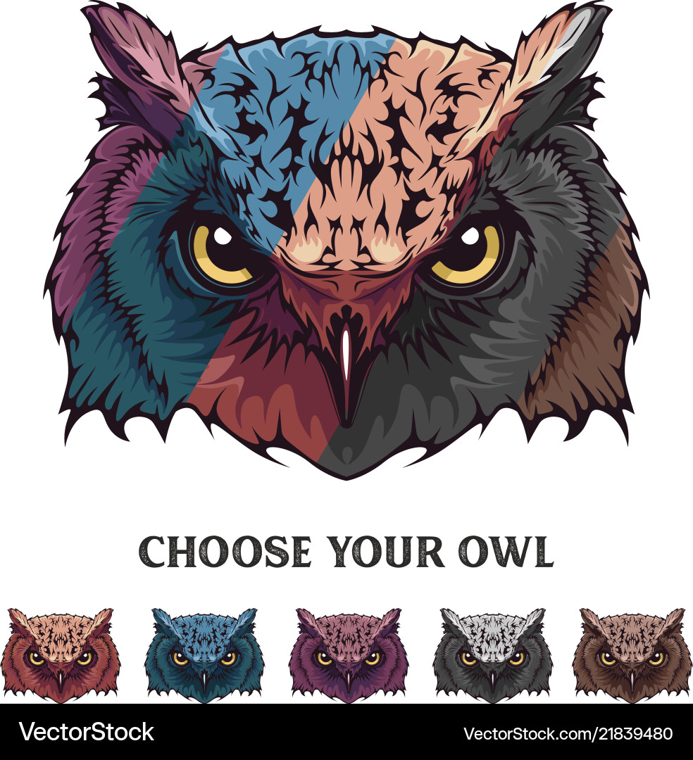 Owl face Royalty Free Vector Image - VectorStock