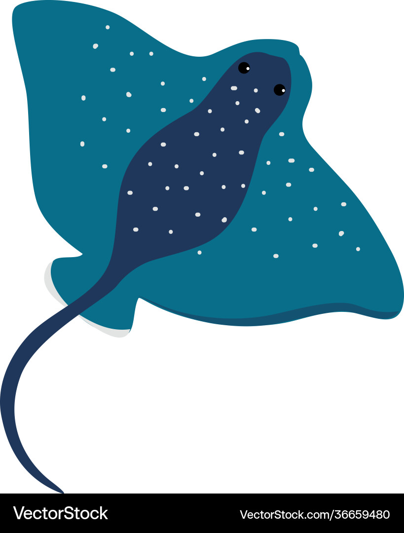 Stingray fish as sea animal floating underwater Vector Image