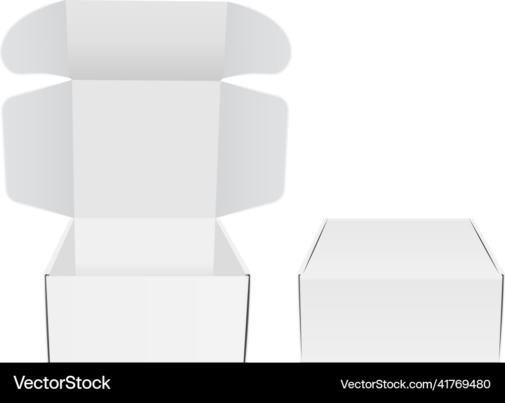 Two blank packaging boxes mockup Royalty Free Vector Image