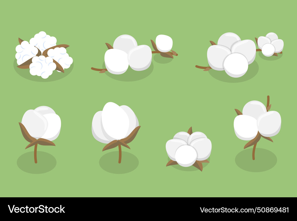 3d isometric flat of cotton Royalty Free Vector Image