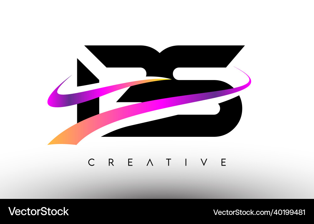 Bs logo letter design icon letters Royalty Free Vector Image