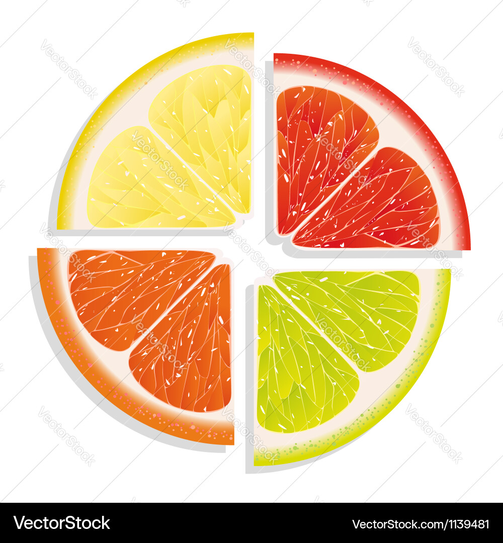 Grapefruit Logo Vector Images (over 1,400)