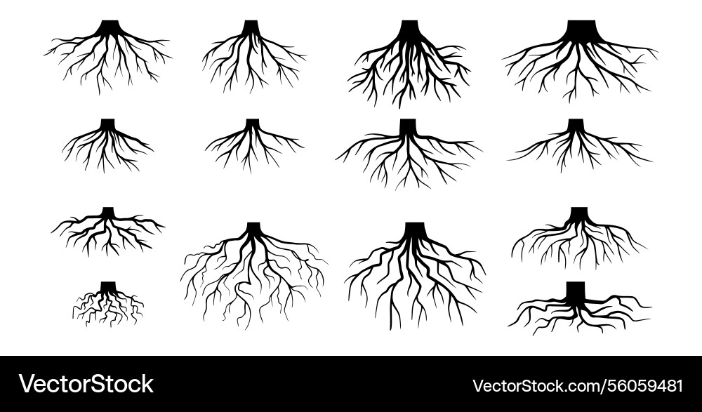 Various realistic tree roots shrub roots parts Vector Image