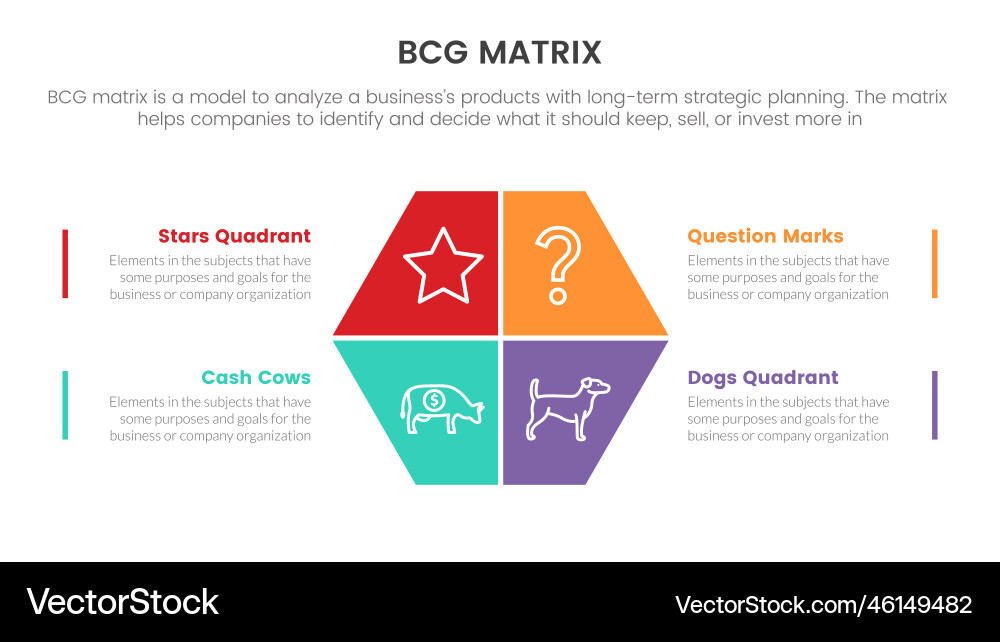 Bcg growth share matrix infographic data template Vector Image