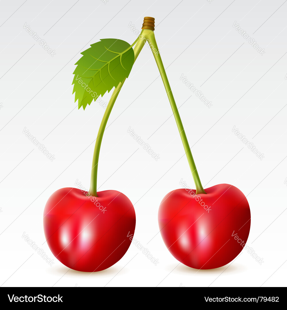 Herry Royalty Free Vector Image - VectorStock