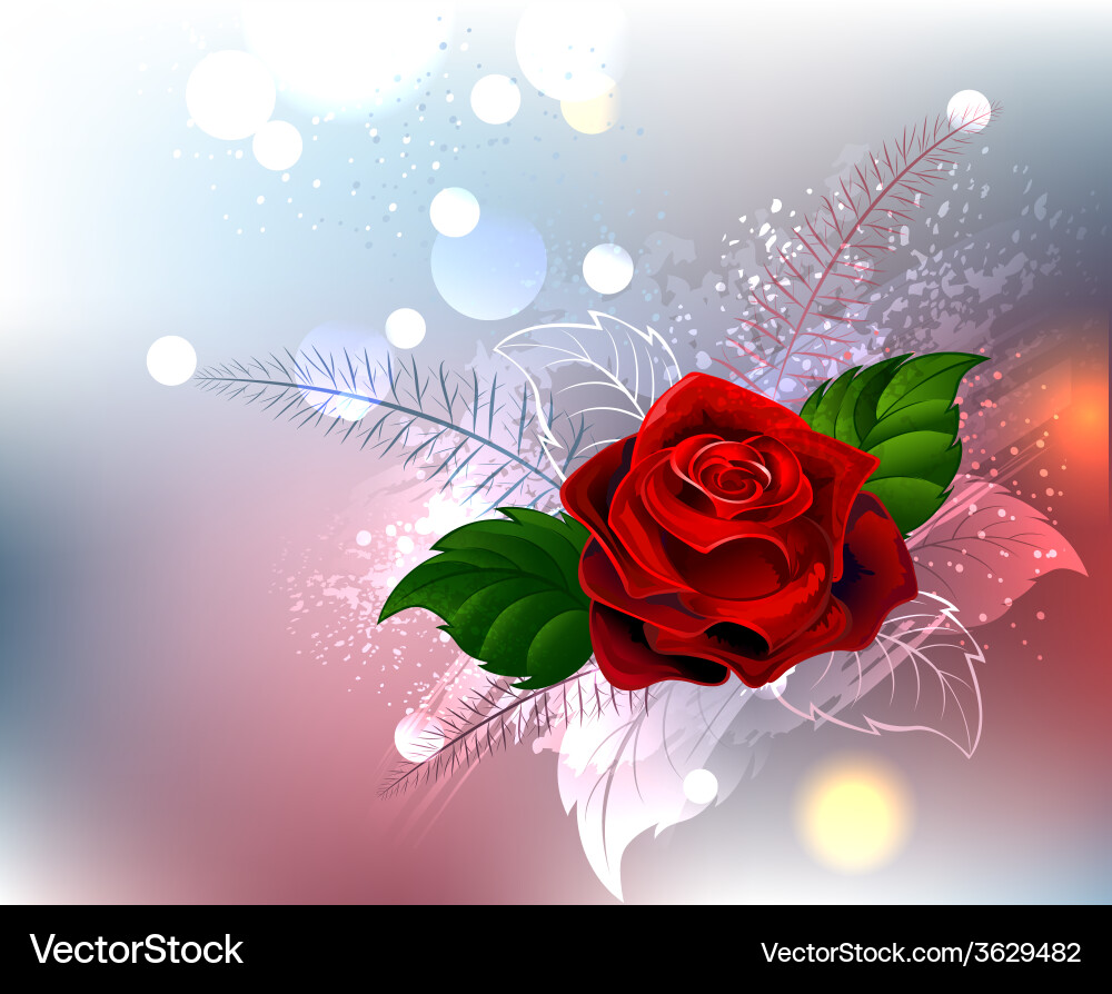 Red rose Royalty Free Vector Image - VectorStock