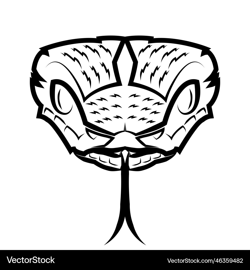 Snake Head Symbol - Black Line Art Royalty Free Vector Image