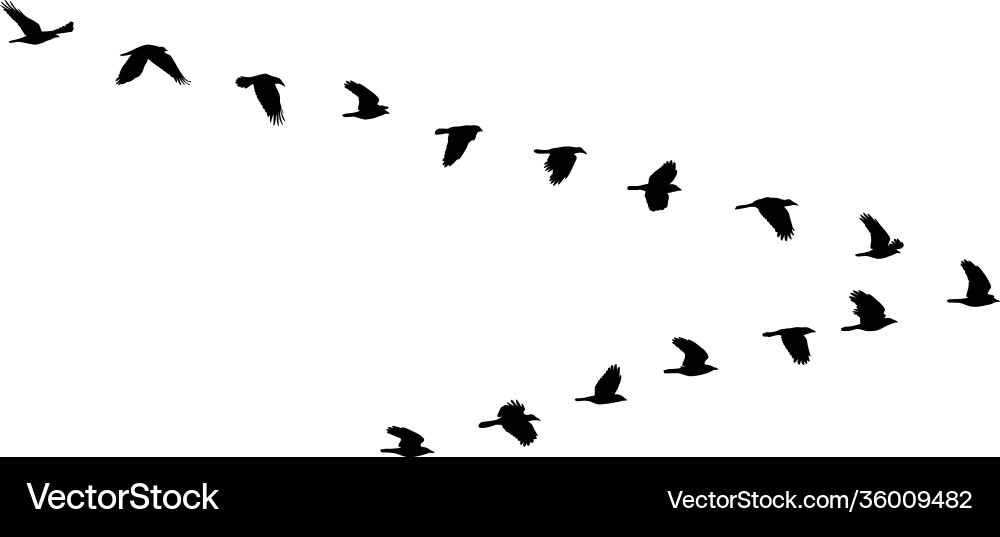 Spring symbol Royalty Free Vector Image - VectorStock
