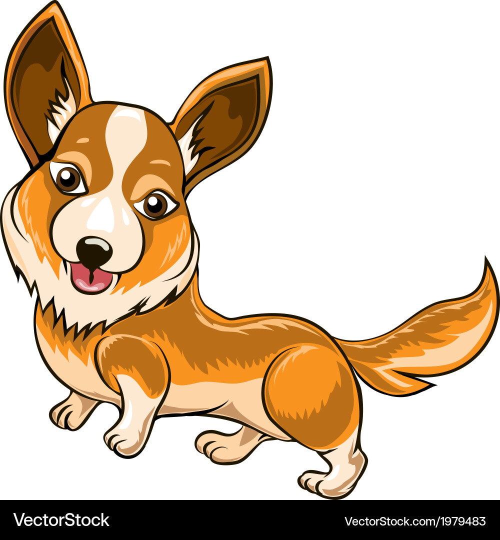 Corgi Royalty Free Vector Image - VectorStock
