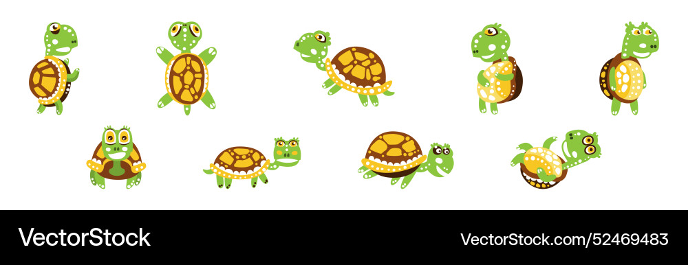 Funny green turtle character with carapace Vector Image