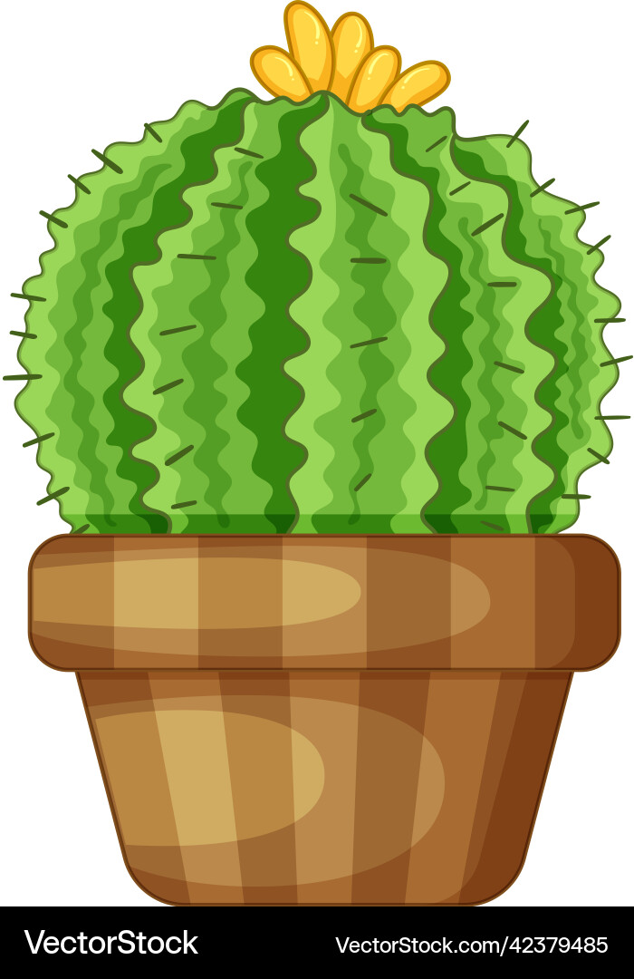 Cactus in a pot isolated Royalty Free Vector Image