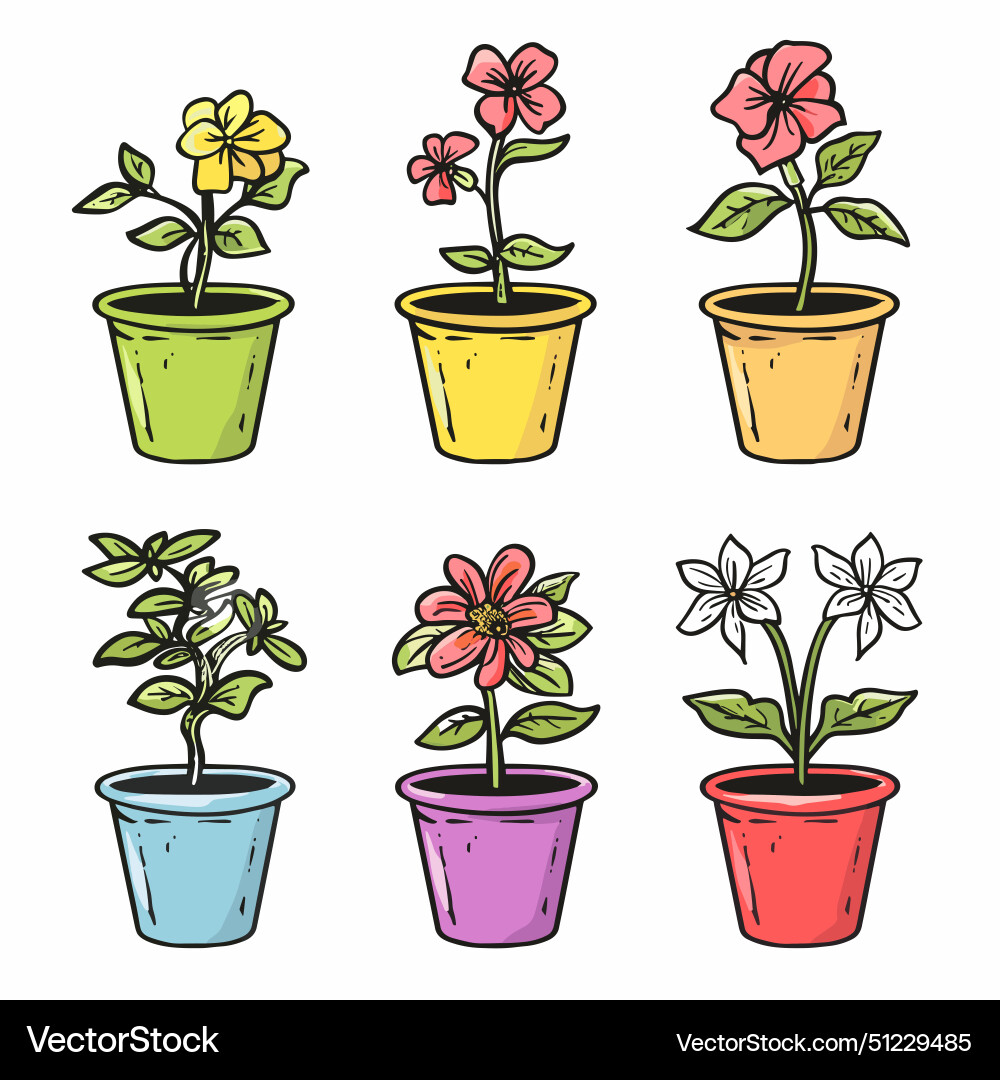 Colorful flowers pots cartoon Royalty Free Vector Image