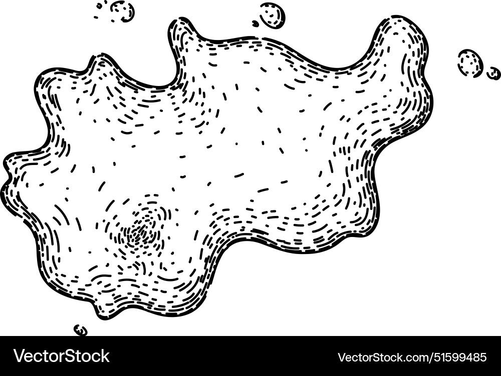 Drop water puddle sketch hand drawn Royalty Free Vector