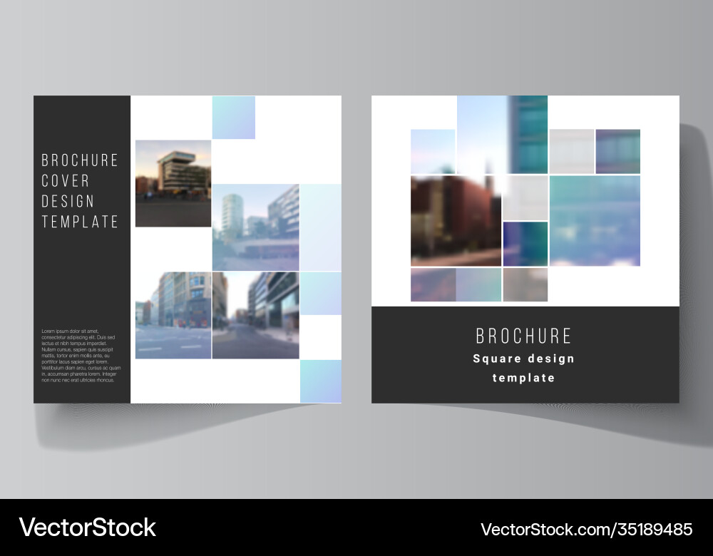 Layout two square format covers Royalty Free Vector Image