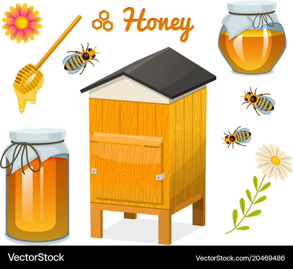 Honey set bee and hive spoon honeycomb Royalty Free Vector