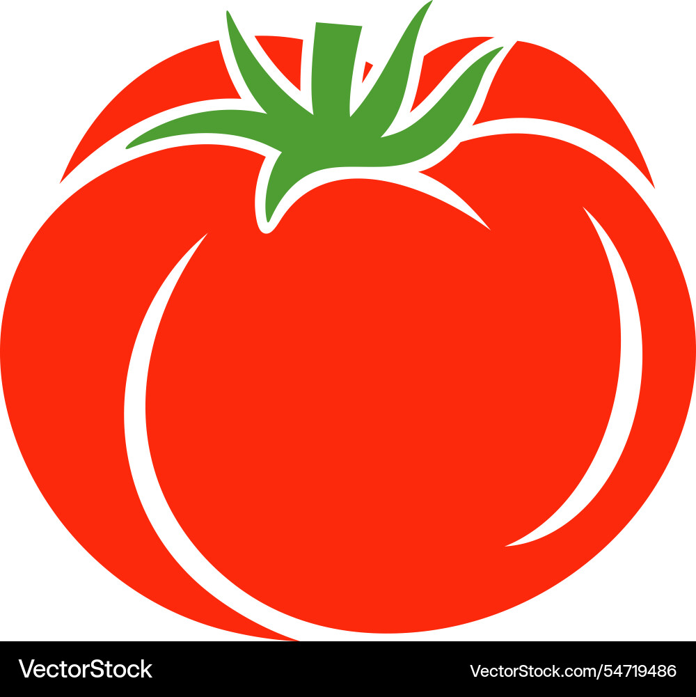 Tomato Royalty Free Vector Image - VectorStock