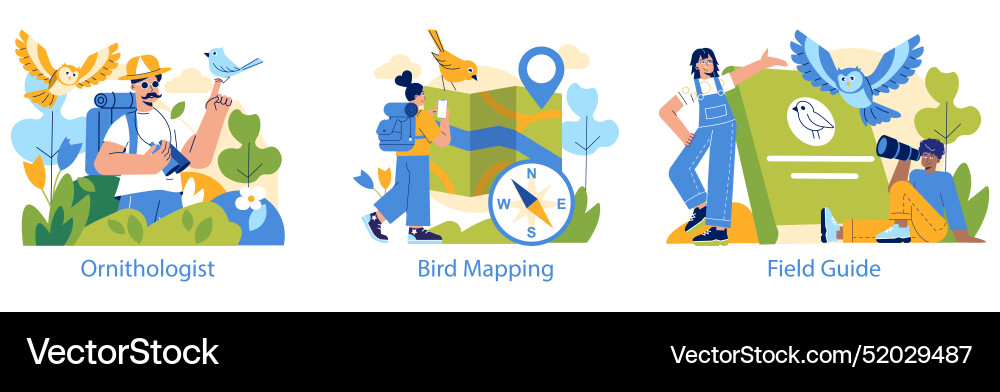 Birdwatching flat Royalty Free Vector Image - VectorStock