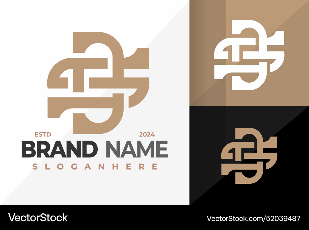 Ds letter monogram logo design symbol icon Vector Image
