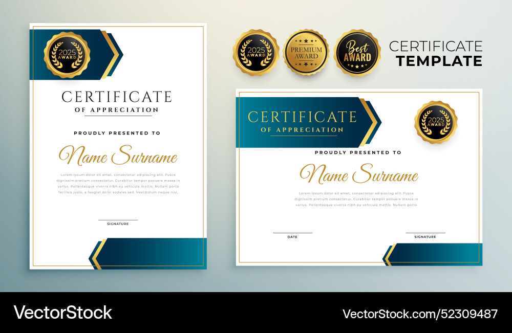 Professional diploma of appreciation background Vector Image