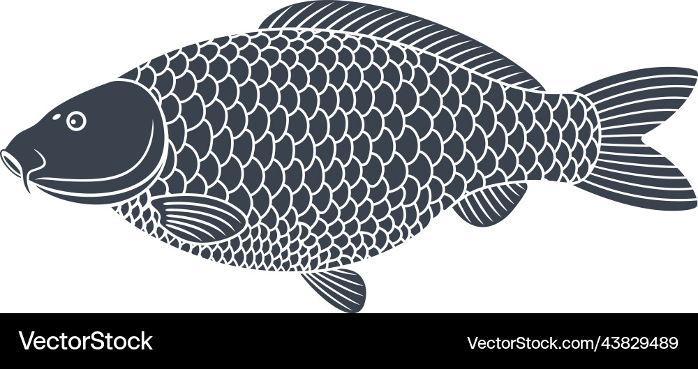 Carp Royalty Free Vector Image - VectorStock