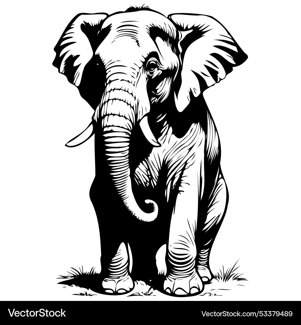 Realistic asian elephant sitting drawing Vector Image