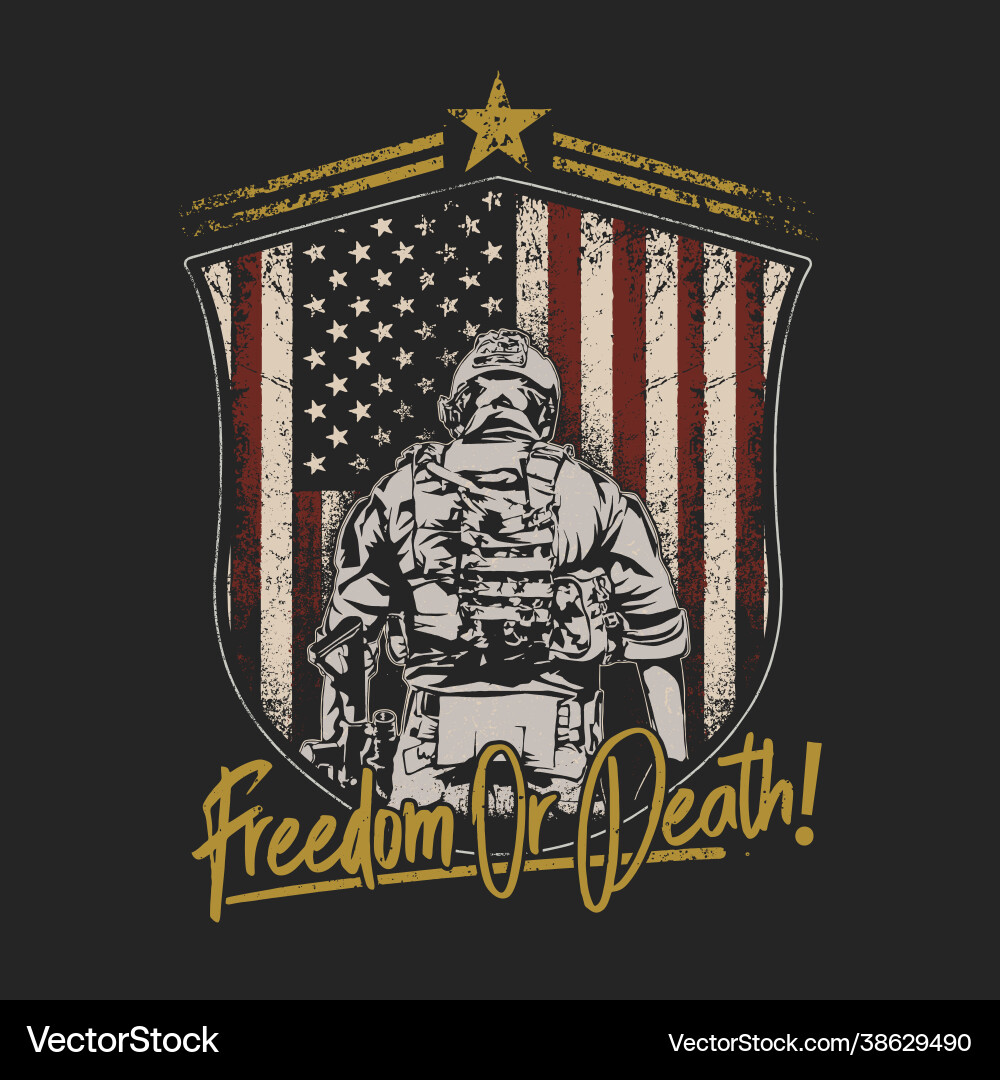 American Soldier Shield Royalty Free Vector Image