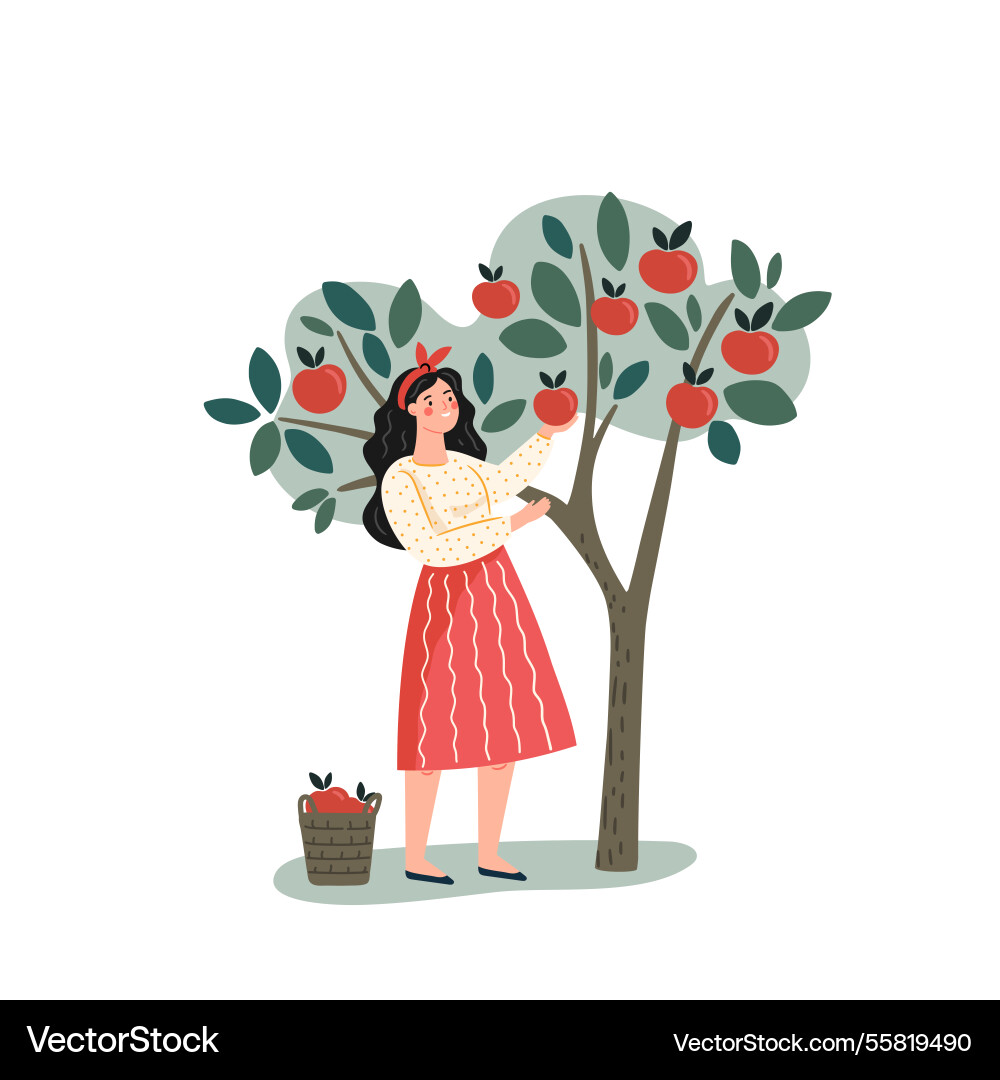 Girl Picking Apples Royalty Free Vector Image Vectorstock