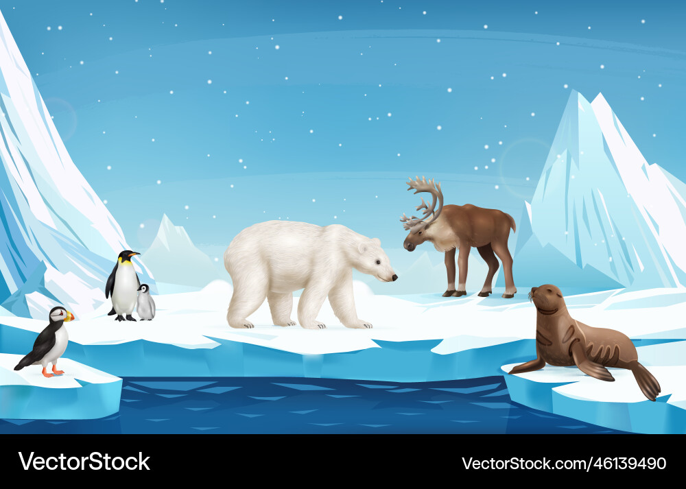 Realistic arctic animals Royalty Free Vector Image